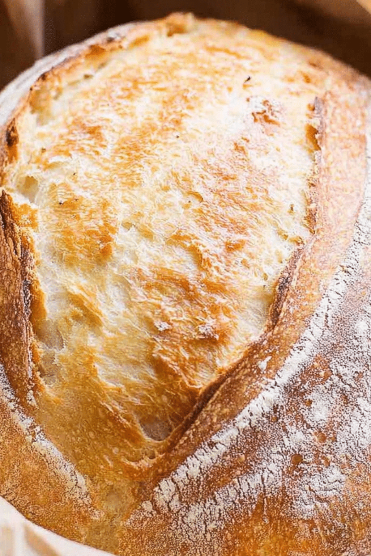 No Knead Sourdough Bread Recipe + Easy + 1 Day - ZazaCook